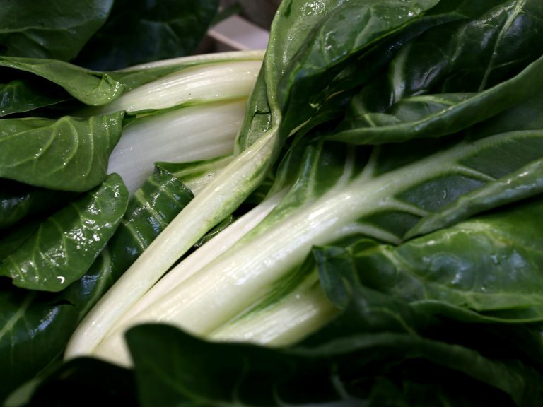 Tout savoir sur la blette | Potager City