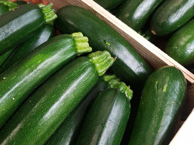 Tout savoir sur la courgette verte | Potager City