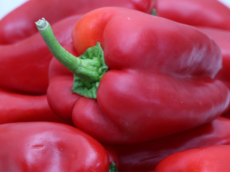 Tout savoir sur le poivron rouge | Potager City