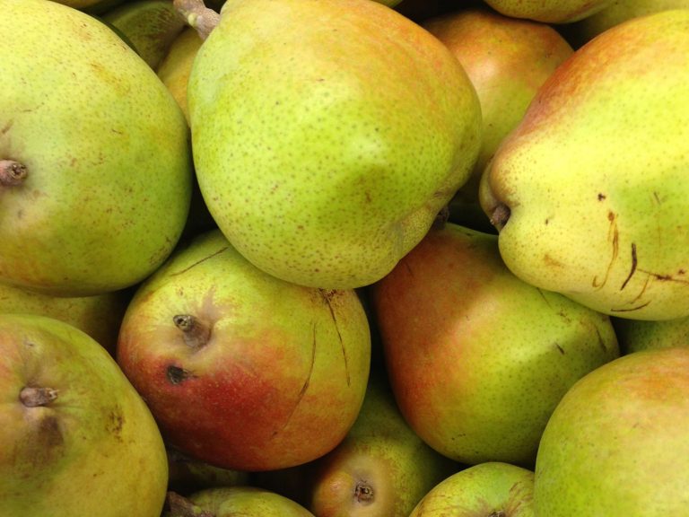 Tout savoir sur la poire Qtee | Potager City