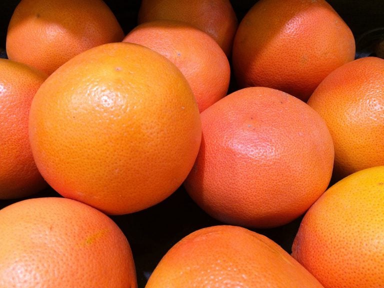 Tout savoir sur le pamplemousse Sweetie | Potager City