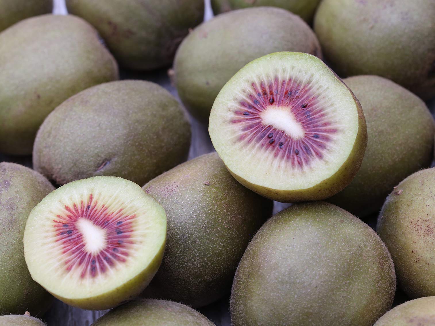 Les produits de Potager City | Potager City